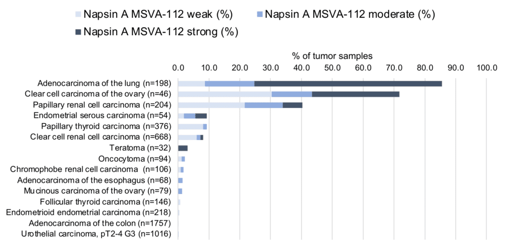 Napsin A (MSVA-112R) - MS Validated Antibodies