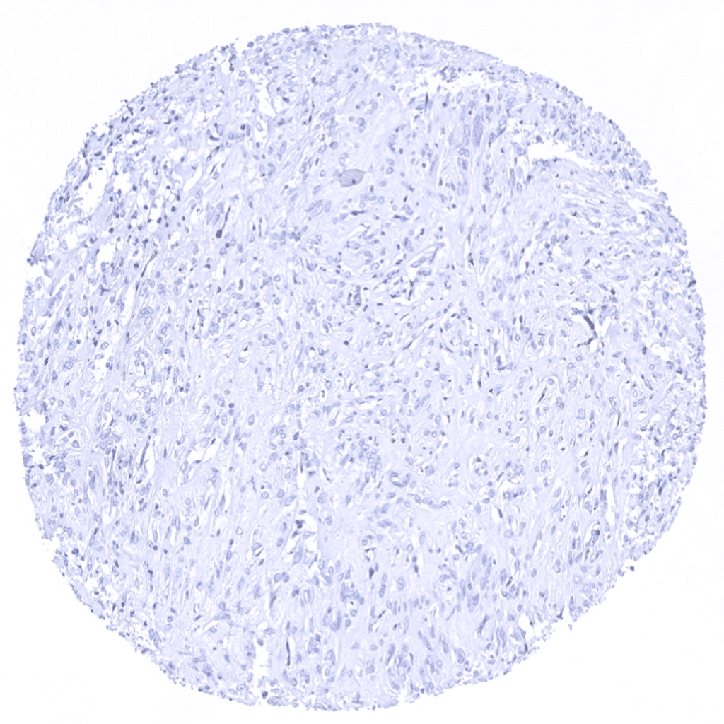 CD34 (MSVA-034R) - MS Validated Antibodies