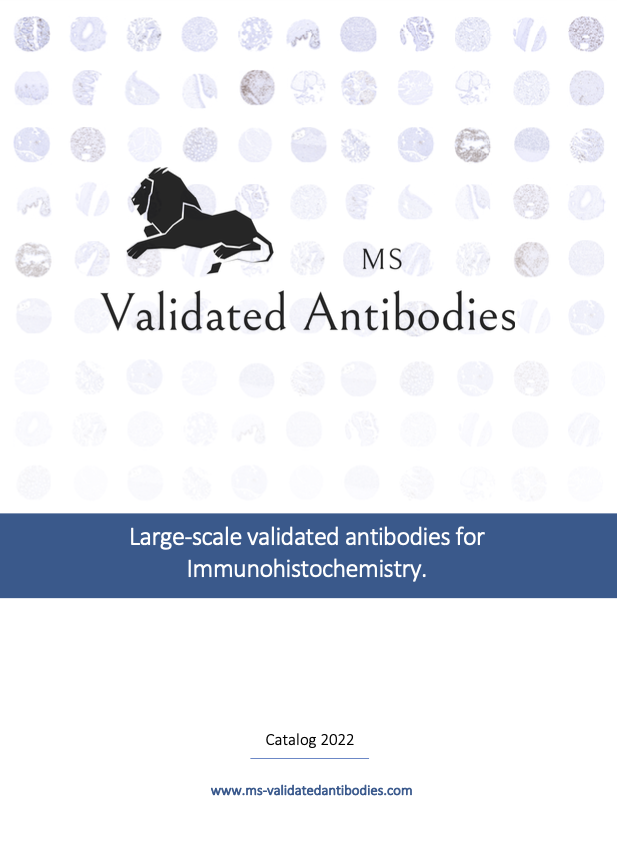 MSVA - Large-Scale Validated Antibodies for Immunohistochemistry. - MS ...