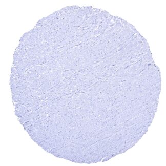 Normal Tissue Gallery Cadherin-17 / CDH17 - MS Validated Antibodies