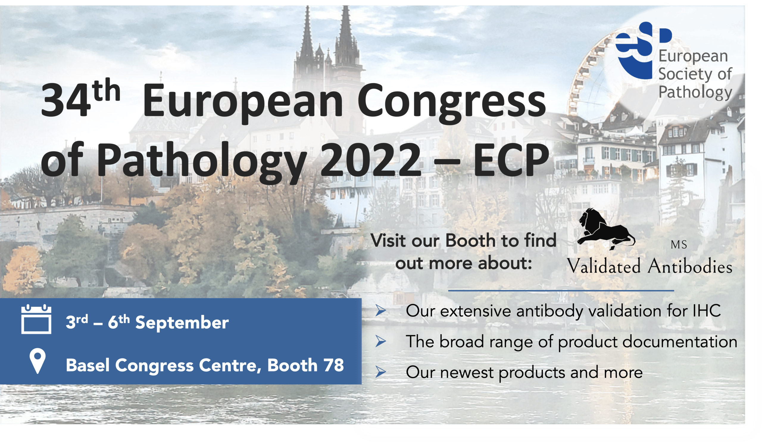 MSVA - Large-Scale Validated Antibodies for Immunohistochemistry. - MS ...