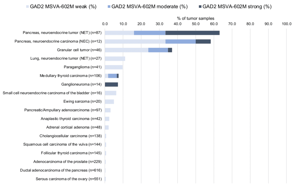GAD2 / GAD65 (MSVA-602M) - MS Validated Antibodies