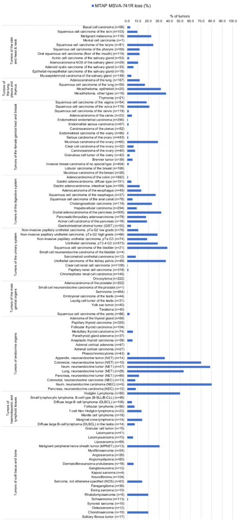 MTAP (MSVA-741R) - MS Validated Antibodies
