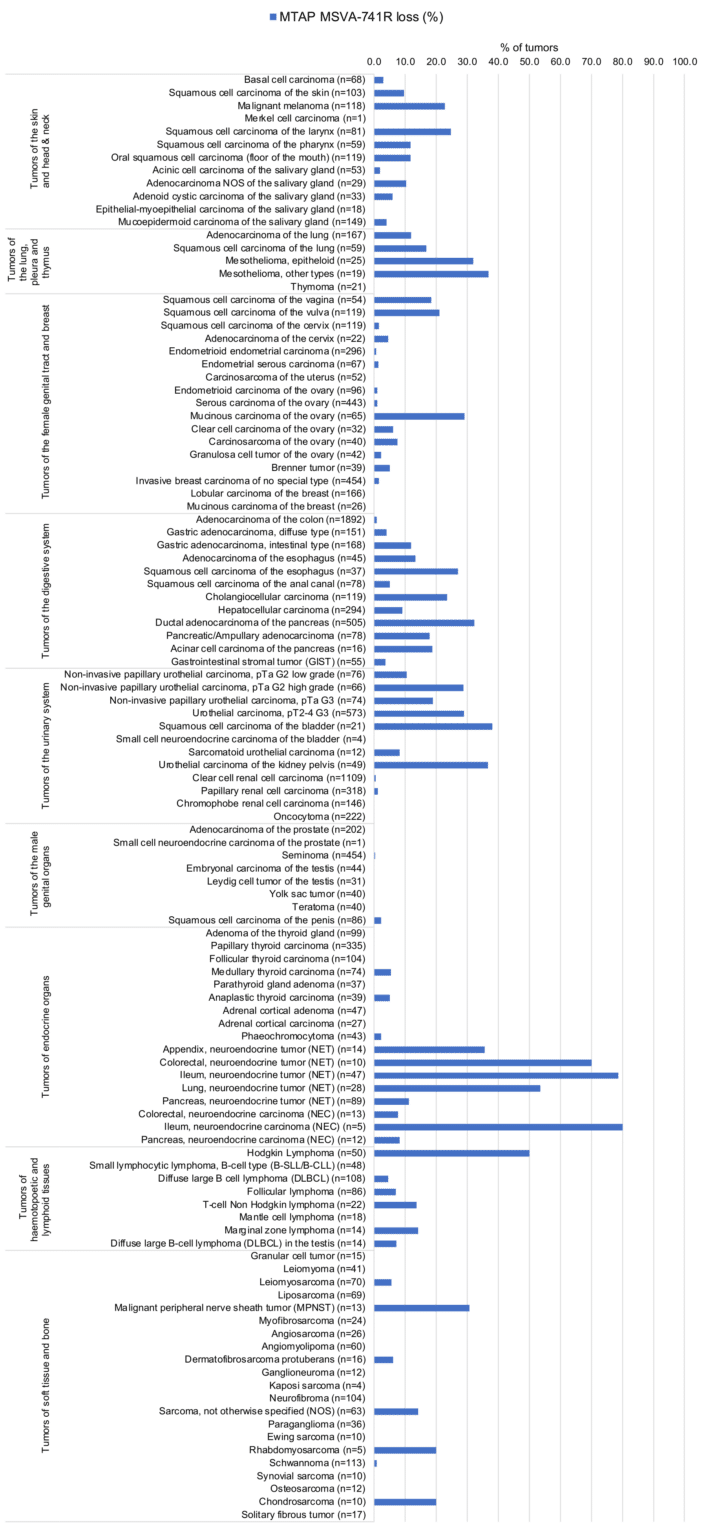 MTAP (MSVA-741R) - MS Validated Antibodies