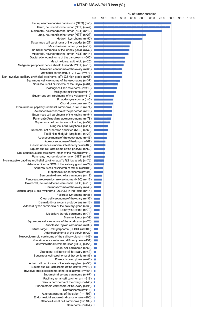 MTAP (MSVA-741R) - MS Validated Antibodies